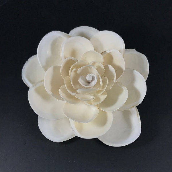 Seashell Flower - Etsy
