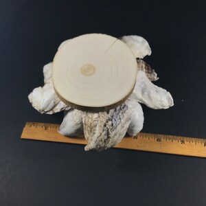 Blooming Oyster Flowers Handmade With Gnarly Oyster Shells - Etsy