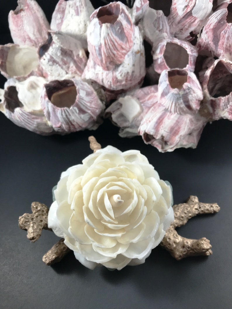 White Rose Seashell Flower Handmade With Natural Florida - Etsy