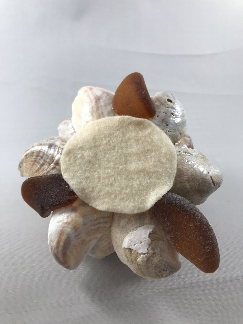 Dried Look Seashell Forever Flower Handmade With Natural - Etsy