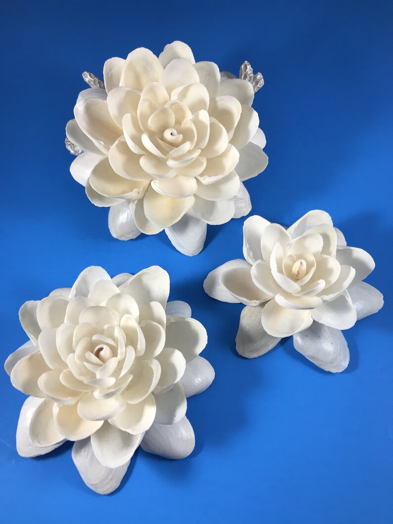 Lily Seashell 'dried' Forever Flower Handmade With - Etsy