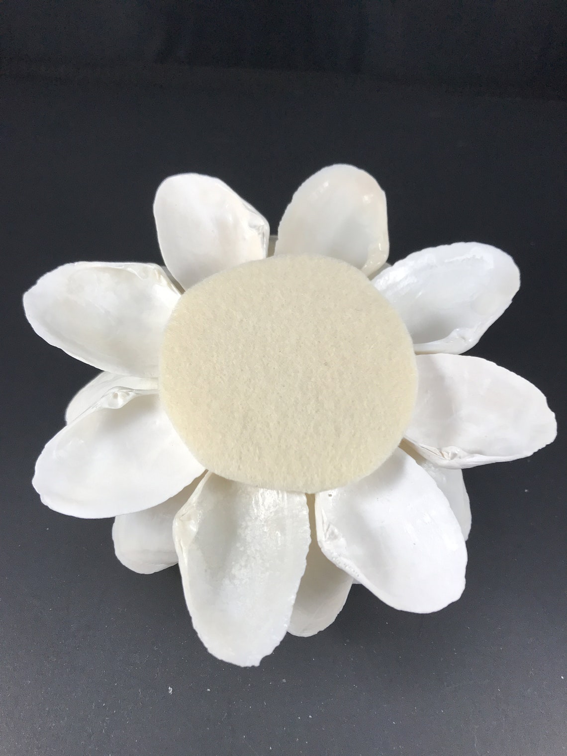 Lily Seashell 'dried' Forever Flower Handmade With - Etsy