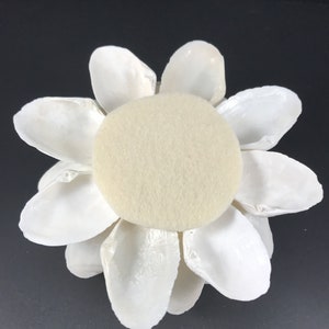 Lily Seashell 'dried' Forever Flower Handmade With Natural Florida ...