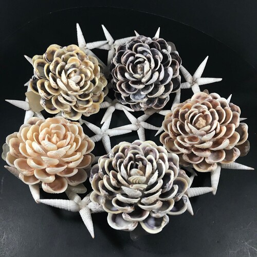 Lily Seashell 'dried' Forever Flower Handmade With - Etsy