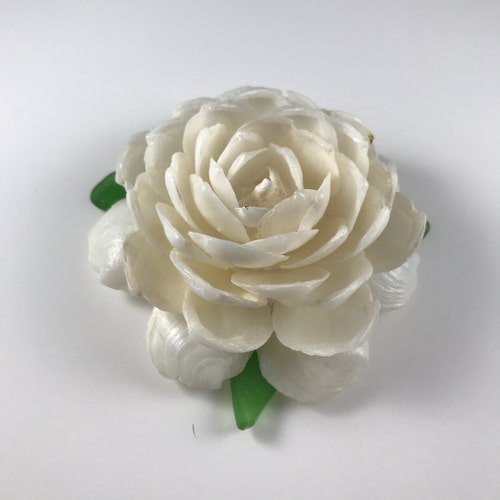 Delicate Rose 'forever' Seashell Flower Handmade With - Etsy