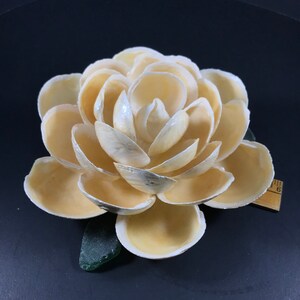 Seashell Buttercup Forever Flower Made With Buttercup Lucine Shells - Etsy