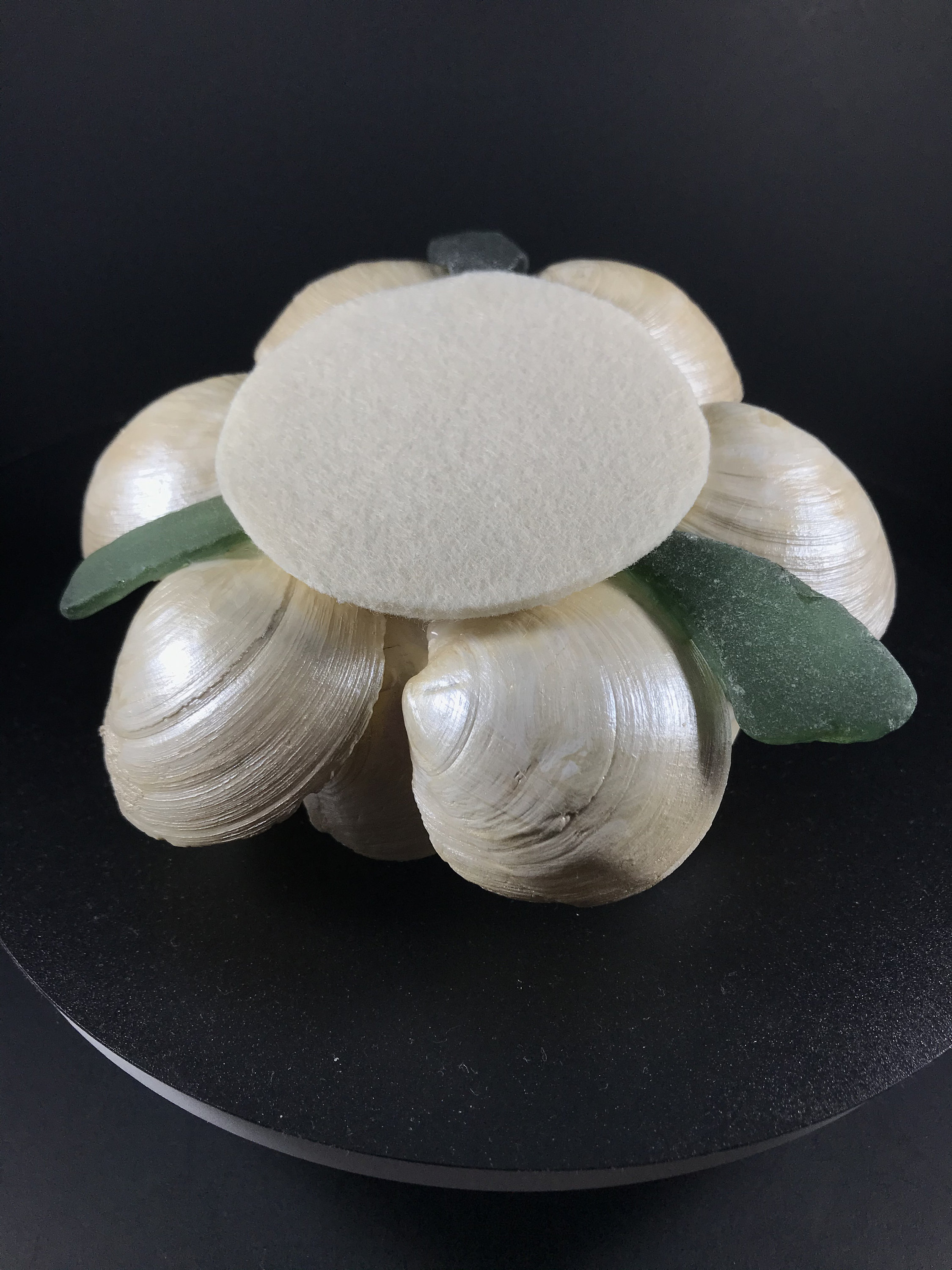 Seashell Buttercup Forever Flower Made With Buttercup Lucine - Etsy