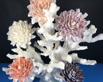 Seashell Flower | Etsy