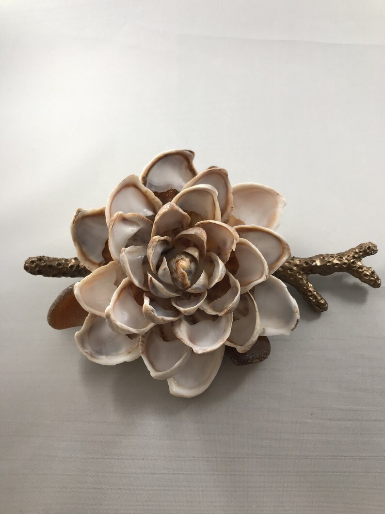 Dried Look Seashell Forever Flower Handmade With Natural - Etsy