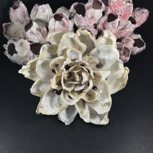 Blooming Oyster Flowers Handmade With Gnarly Oyster Shells - Etsy