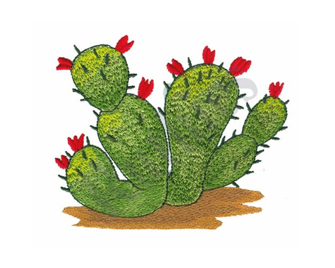 Cactus Machine Embroidery Design | Etsy