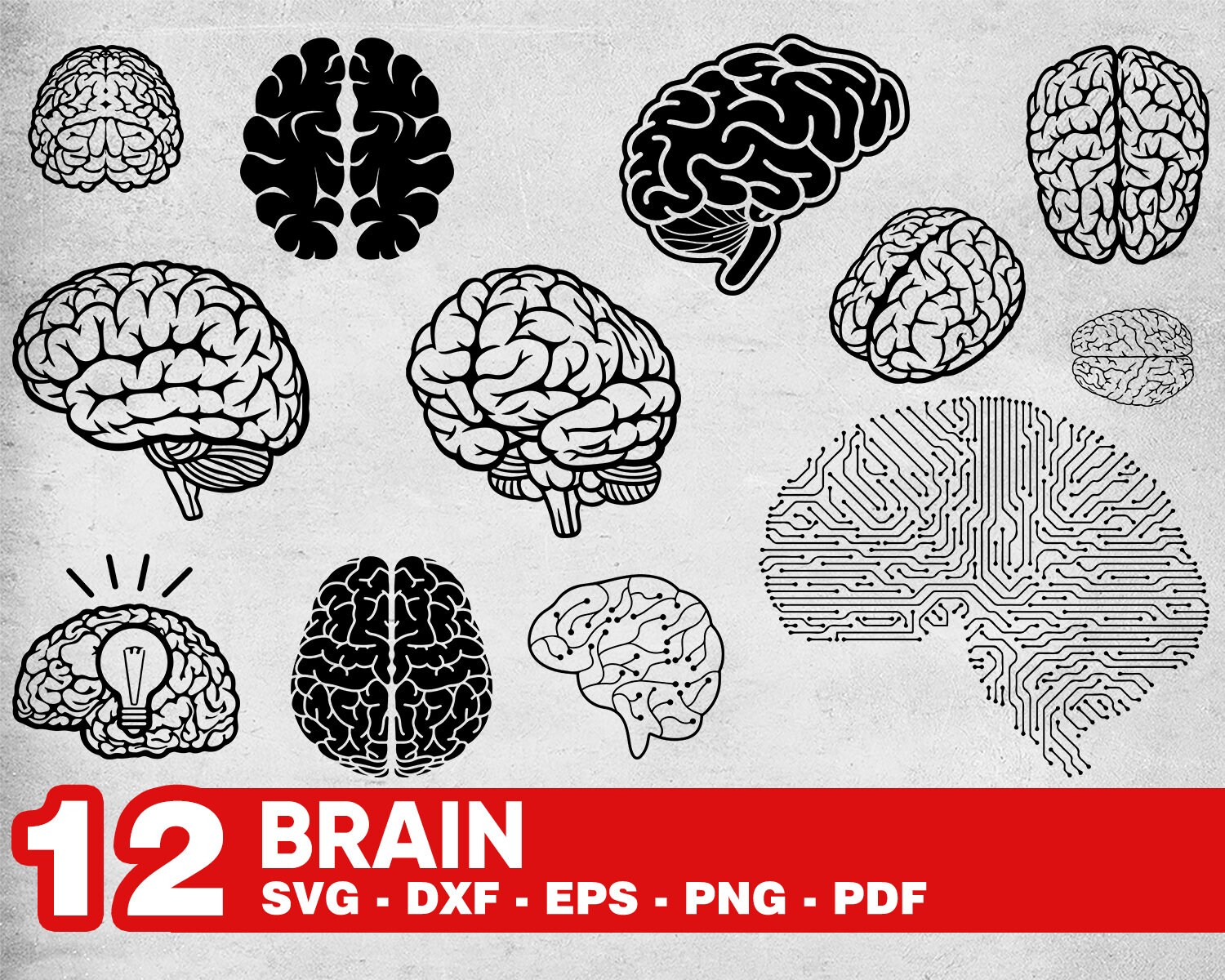 Cartoon Brain SVG