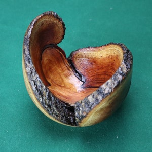 Unique Display Bowl (hand-turned Bowl From the Burl of a Tree With ...