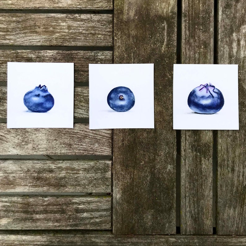 Mini Blueberry Prints, 4x4" - Etsy