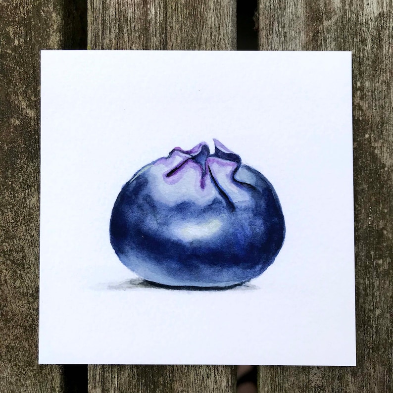 Mini Blueberry Prints, 4x4" - Etsy