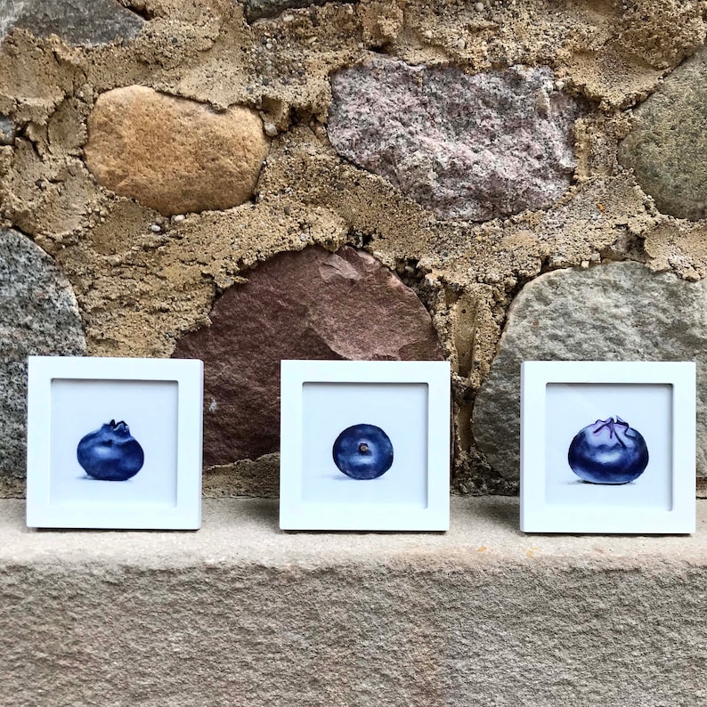 Mini Blueberry Prints, 4x4" - Etsy