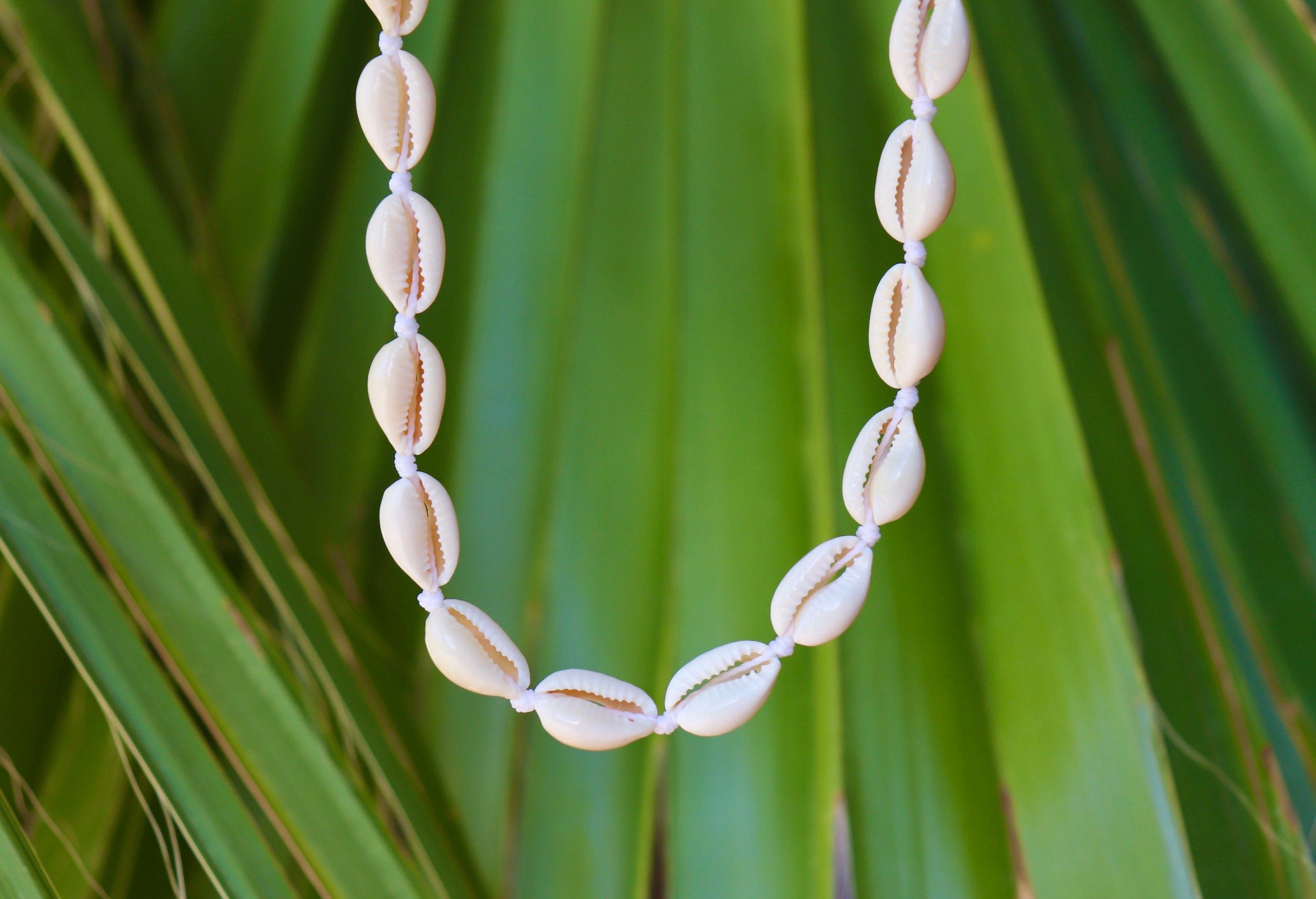 Whitevsco Cowrie Shell Choker Necklace - Etsy