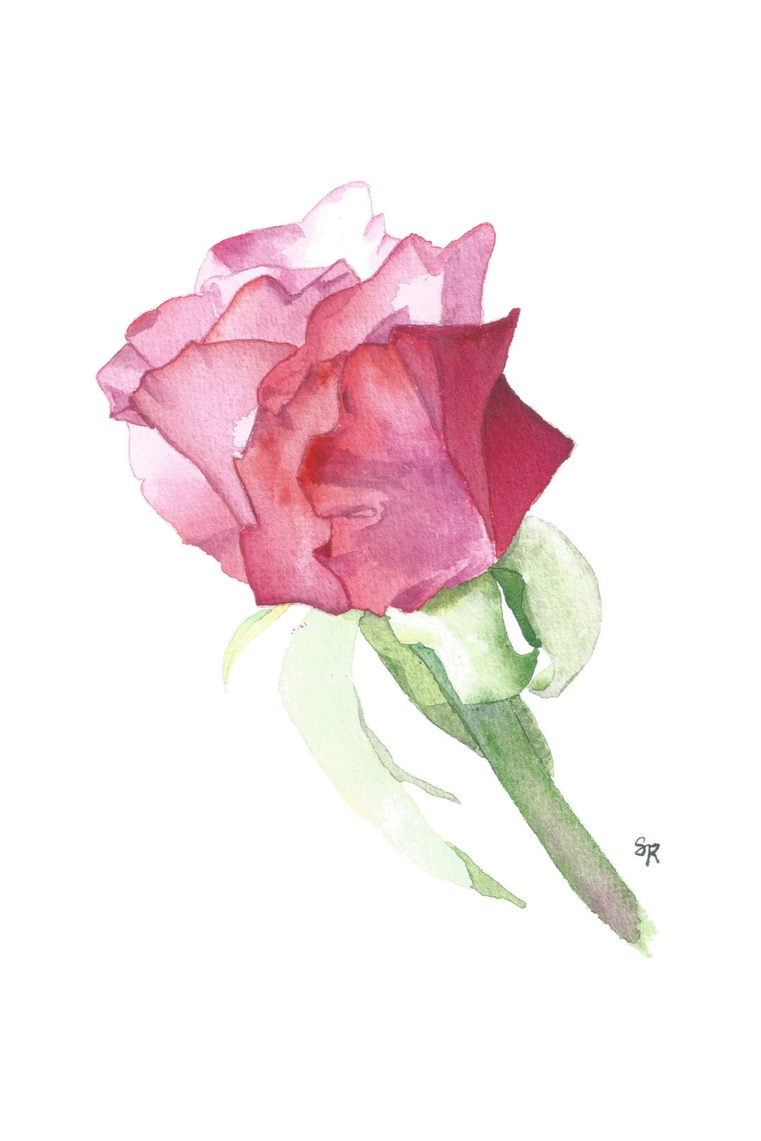 Neptune Rose, Original Botanical Watercolor Painting, Printable ...