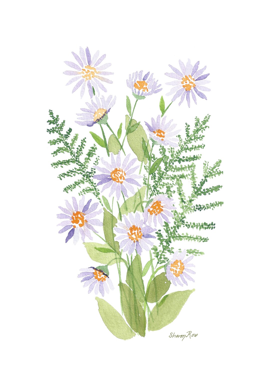 Aster, Floral Watercolor Painting, Botanical Watercolor Illustration ...