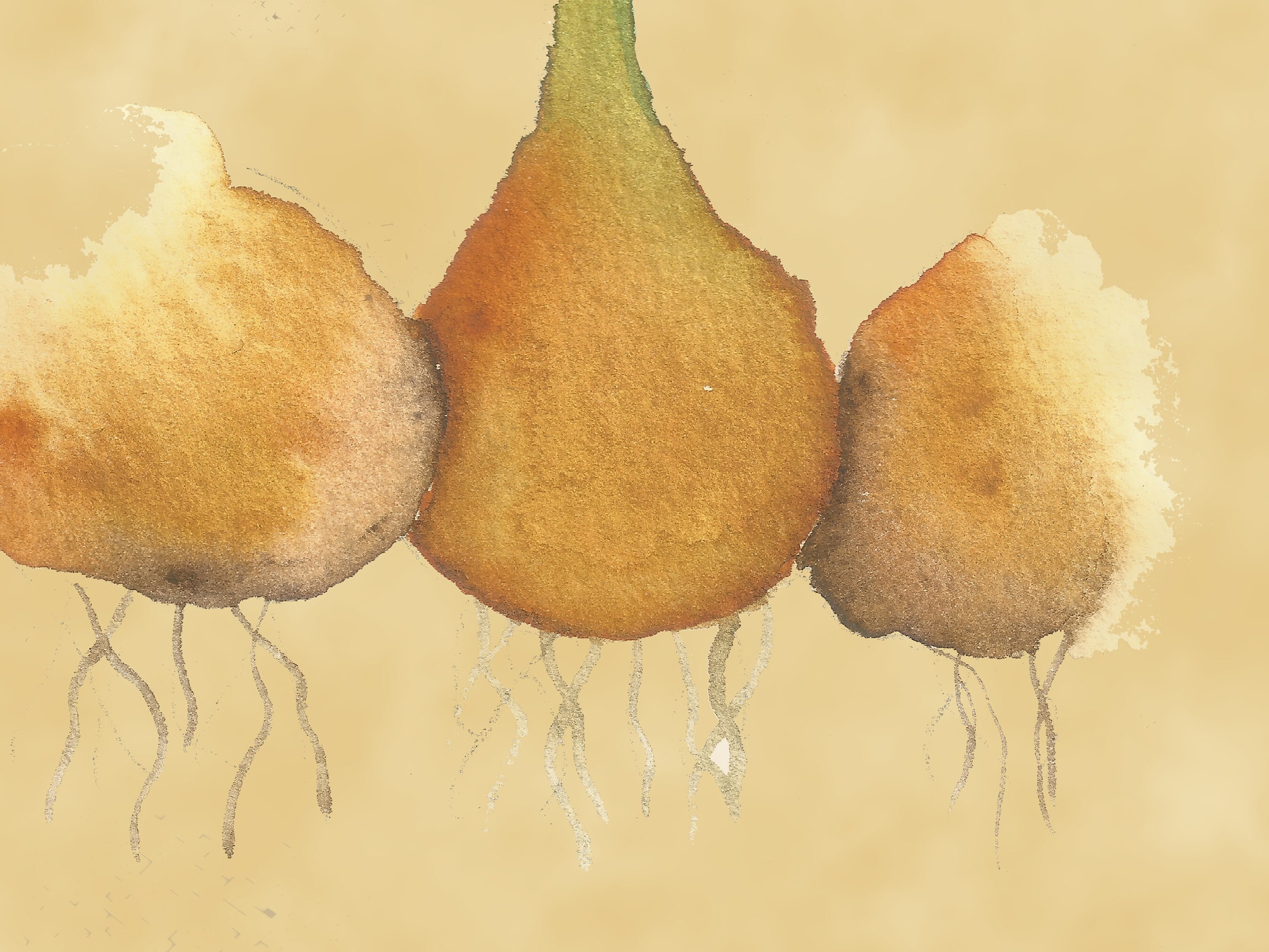 Horneophyton, Fossil Plant, Original Watercolor, Vintage Style ...