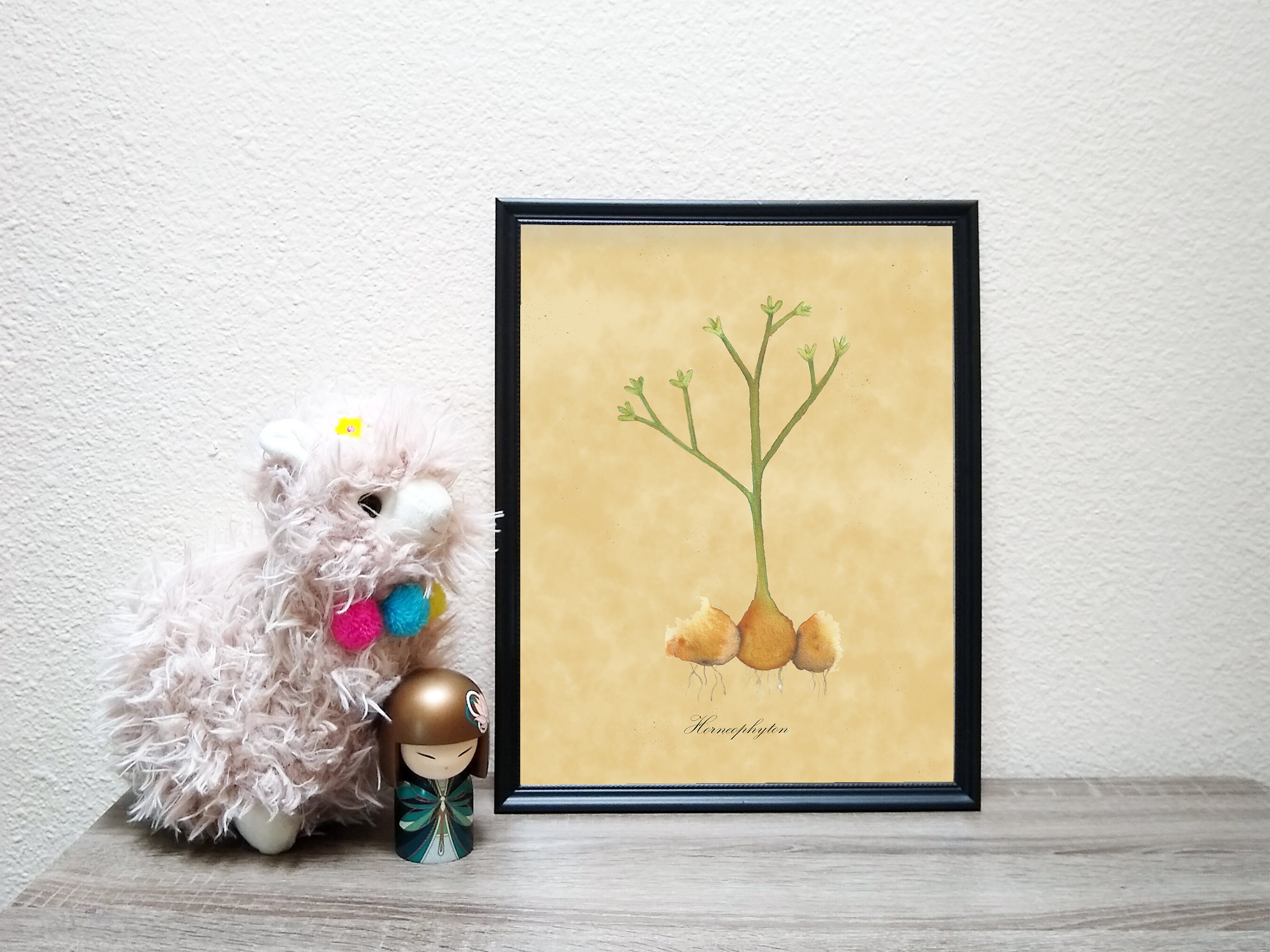 Horneophyton, Fossil Plant, Original Watercolor, Vintage Style ...