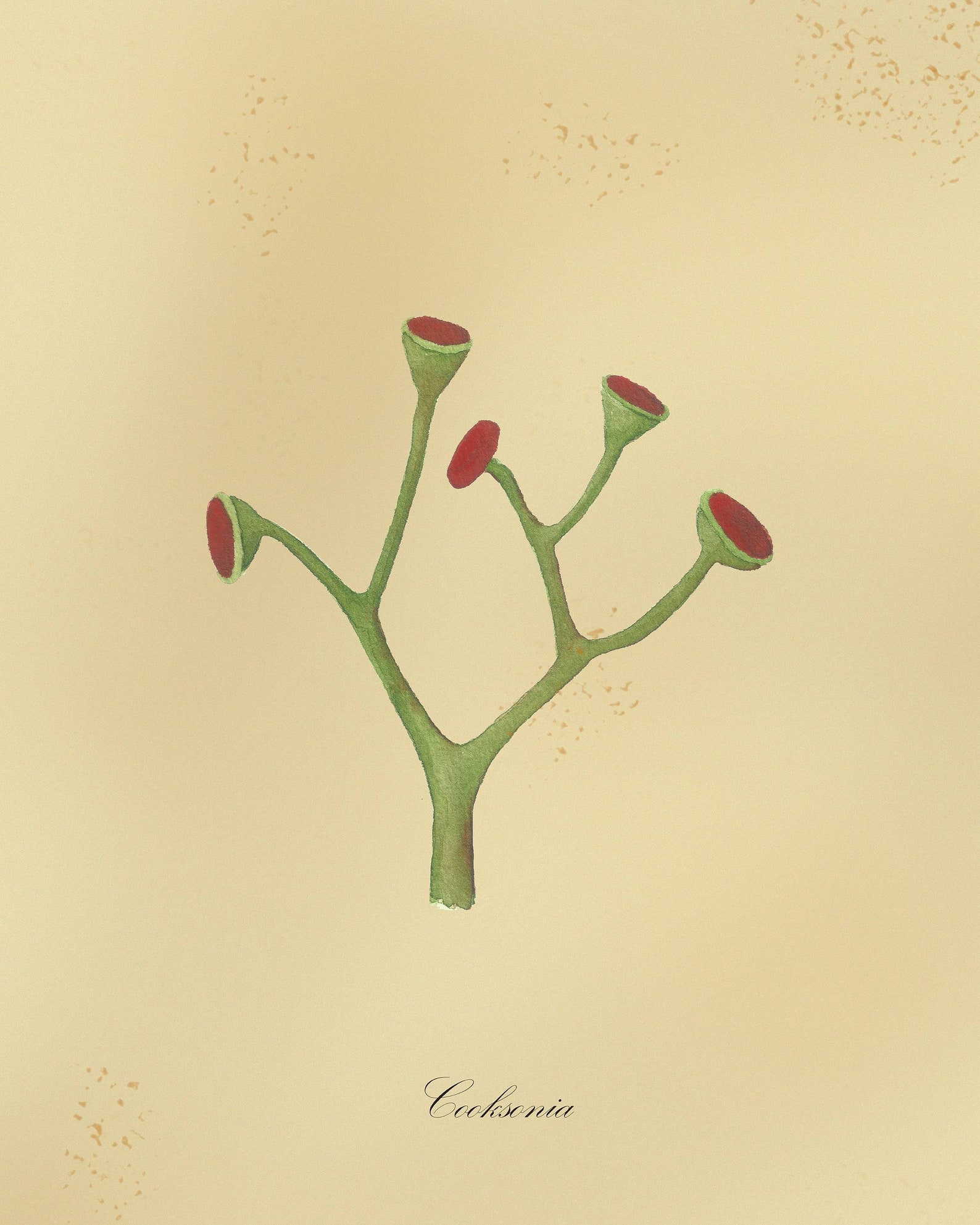 Cooksonia, Fossil Plant, Original Watercolor Painting, Printable ...