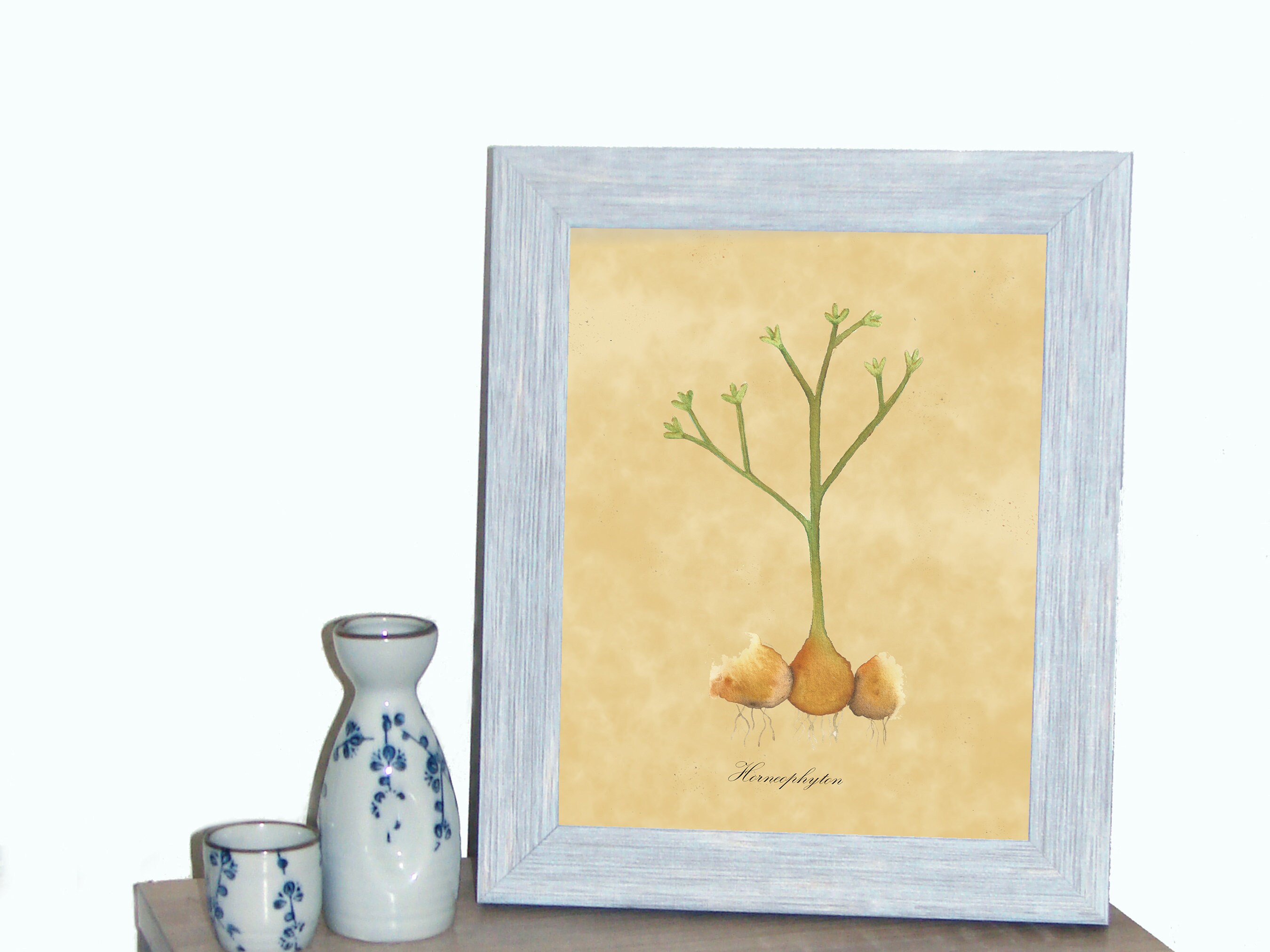 Horneophyton, Fossil Plant, Original Watercolor, Vintage Style ...