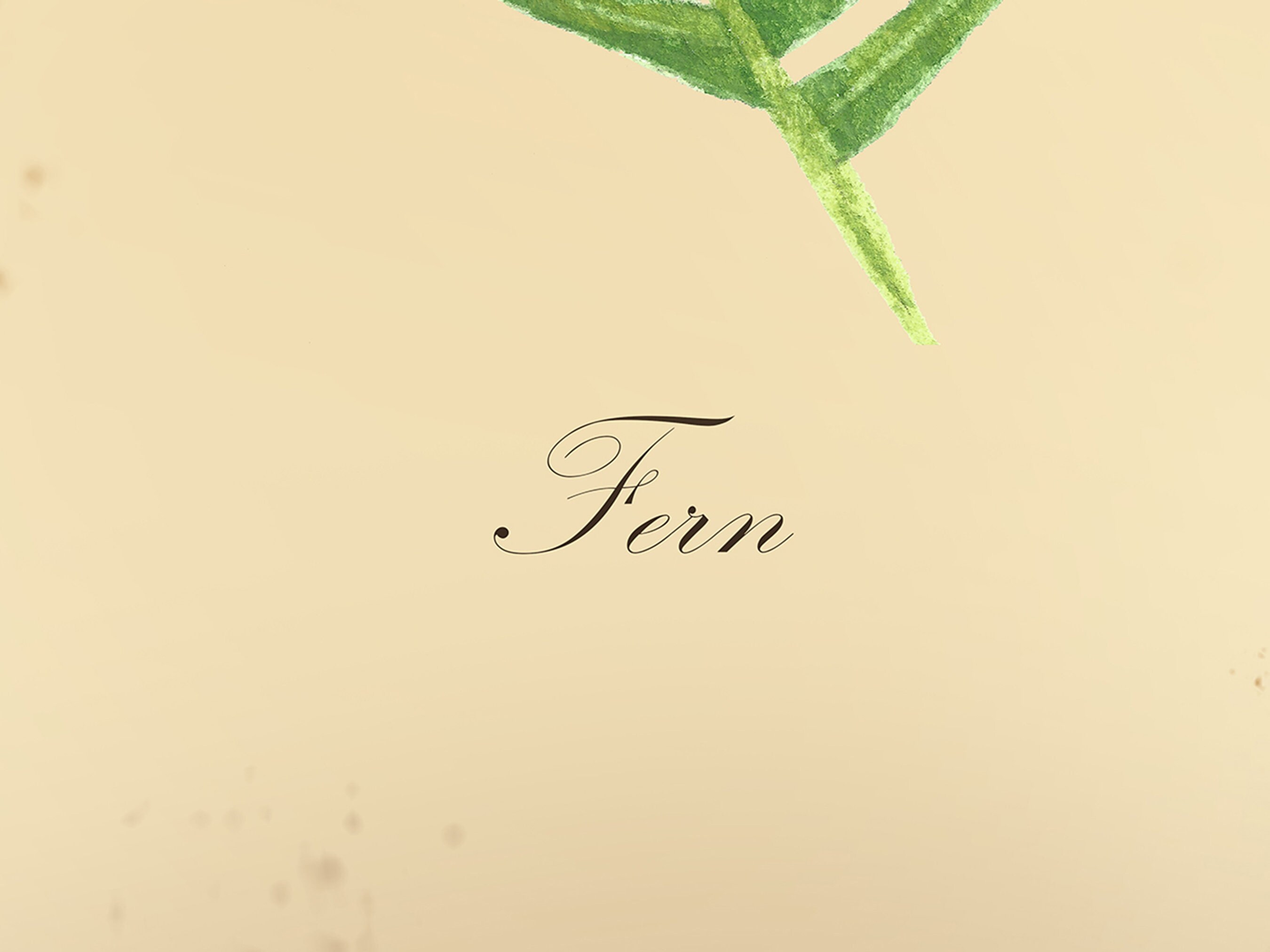 Fern, Original Watercolor, Printable Download - Etsy