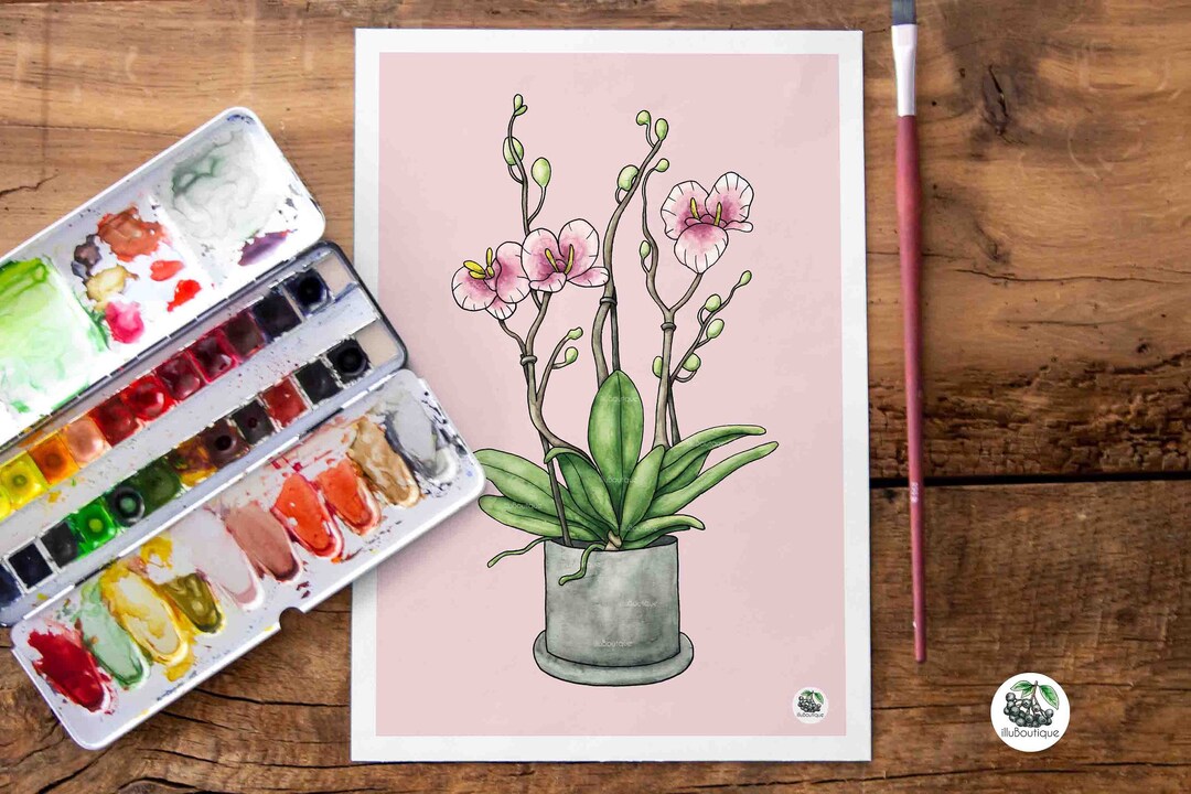 Orchid Poster, A4, Hand-painted Houseplant, Nature Illustration ...