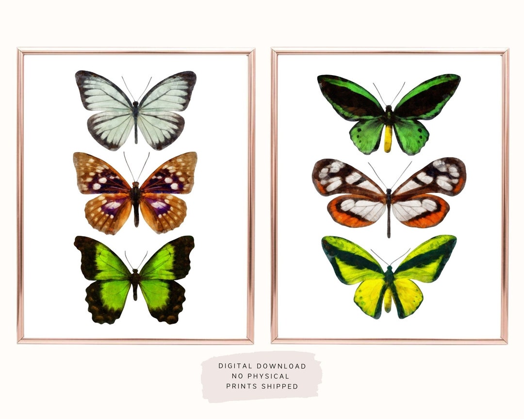 Watercolor Butterfly Wall Art, Set of 2 Printable Butterly Print, Boho ...