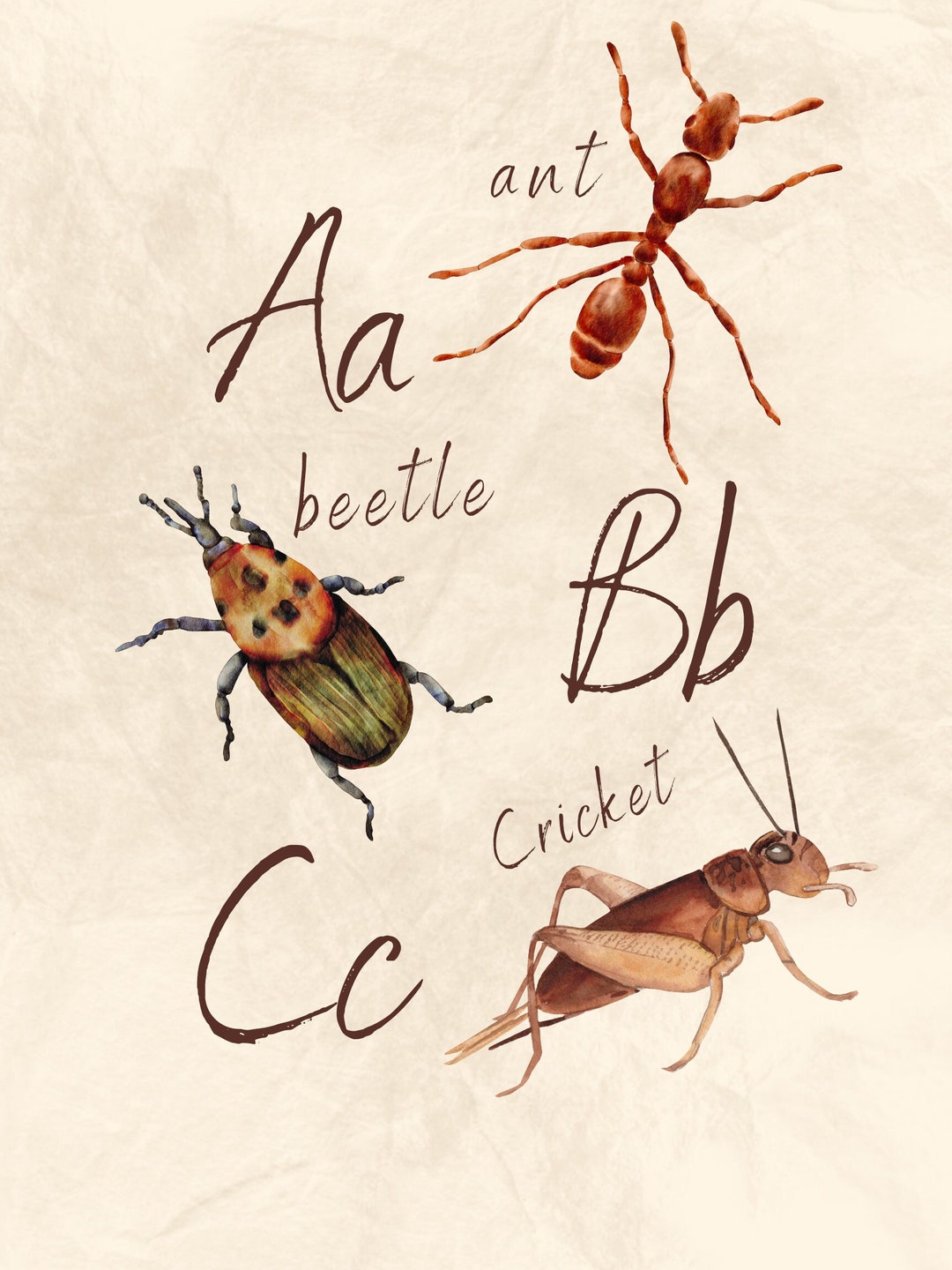 Aesthetic Bug Themed ABC Poster Homeschooling Preschool - Etsy