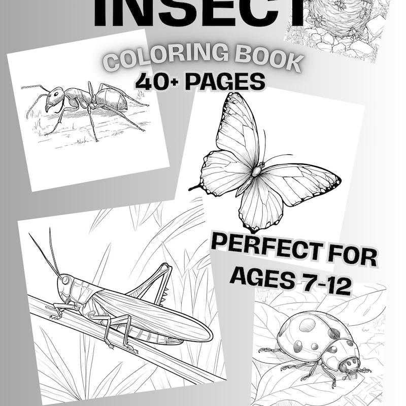 Kids Bugs Coloring Books - Etsy