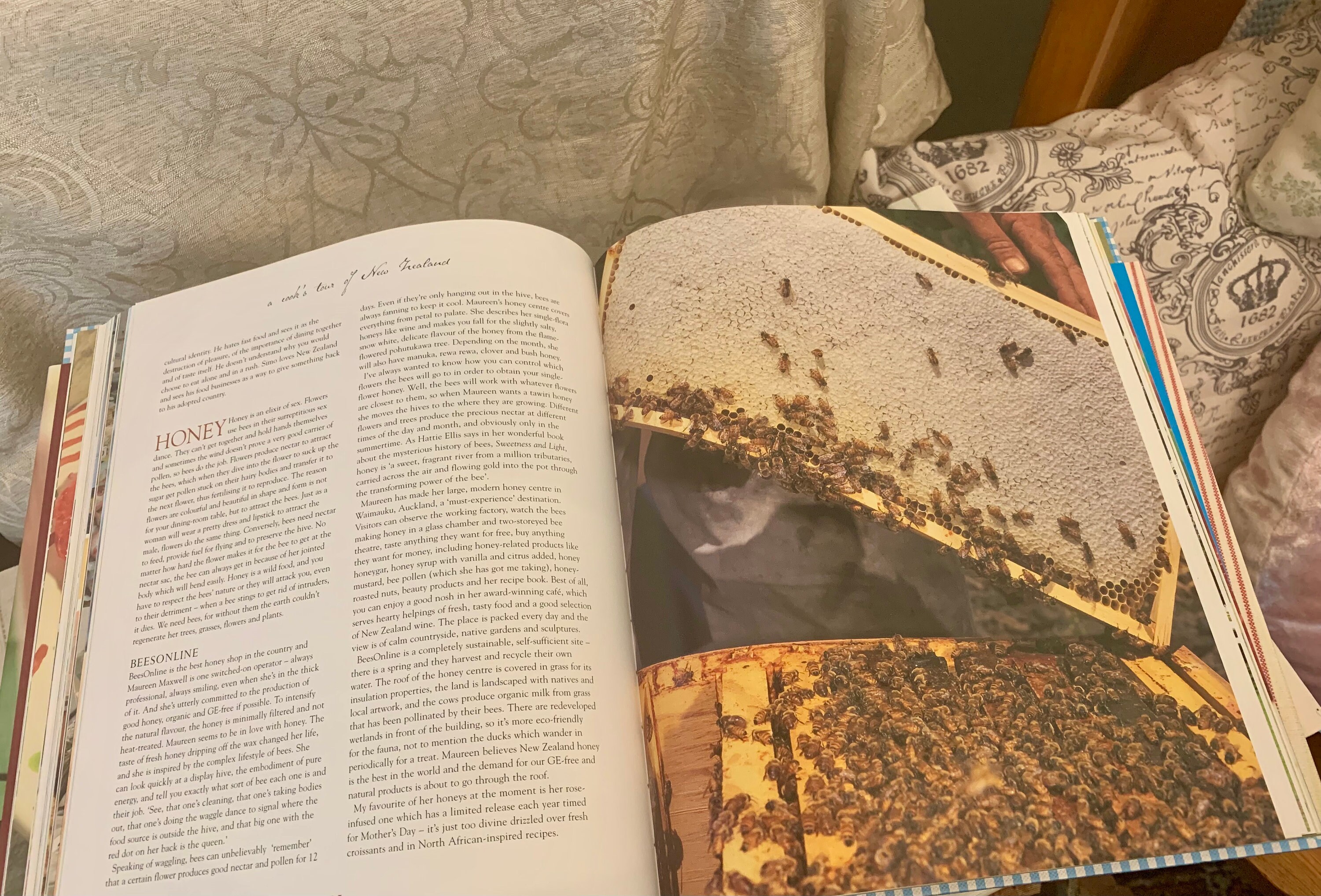 Peta Mathias A Cooks Tour of New Zealand Foodie Cook Book - Etsy