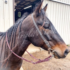 Custom Horse Reins/barrel Racing Reins - Etsy