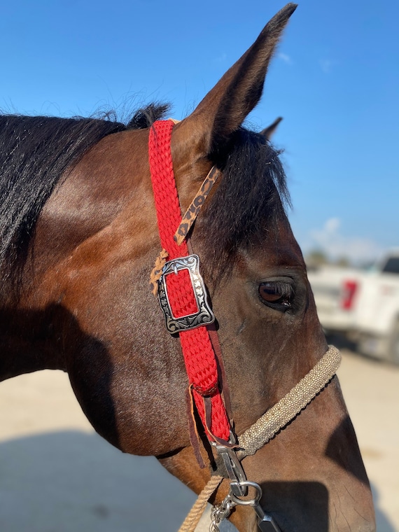 Custom Horse Headstall With Cheetah Print Leather Ear | Etsy