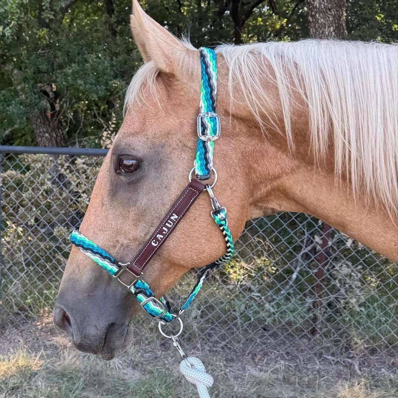 Custom Horse Halter - Etsy