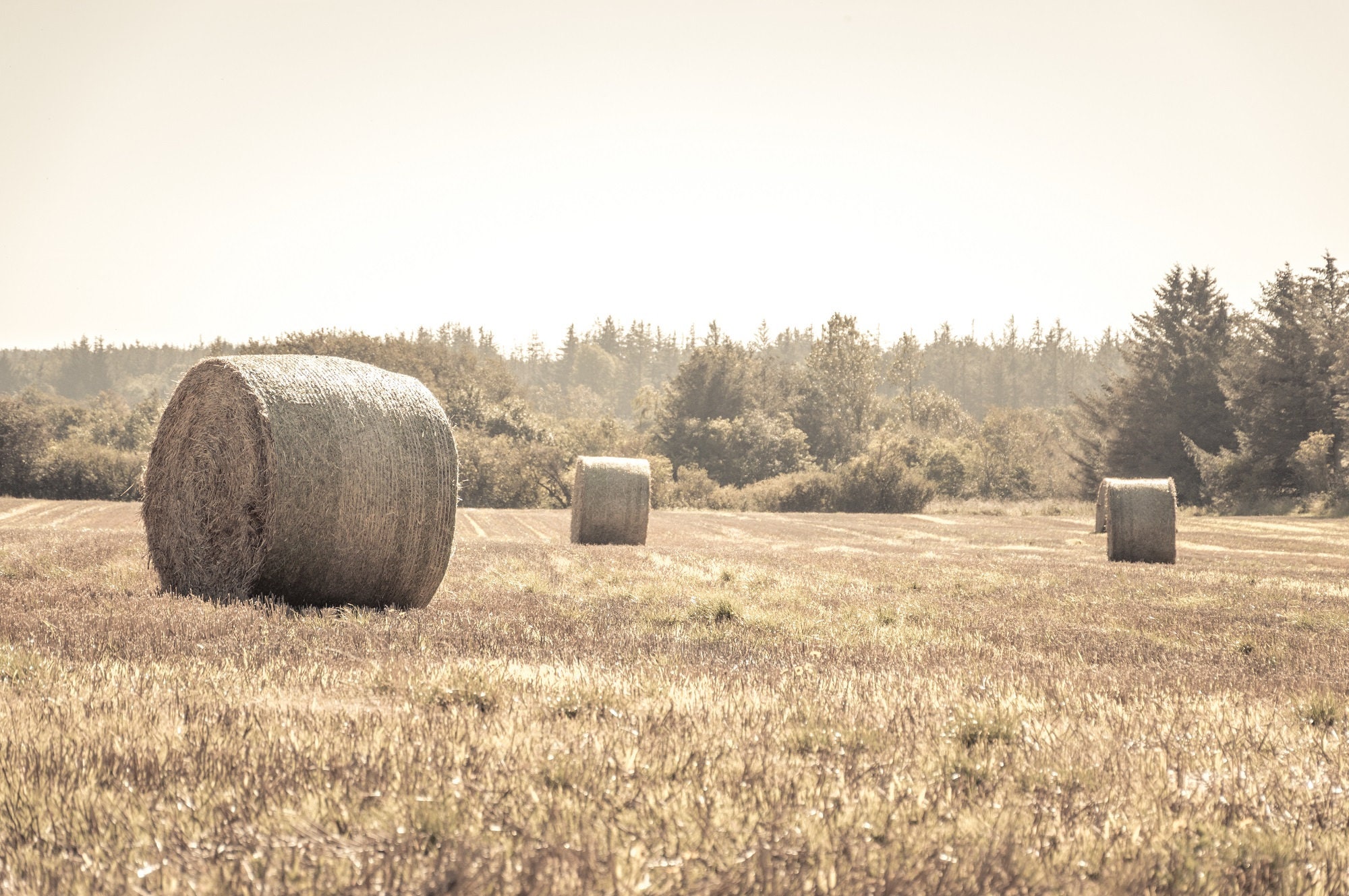 Farmhouse Wall Art, Rustic Country Decor, Hay Bales Print, Rustic Farm ...
