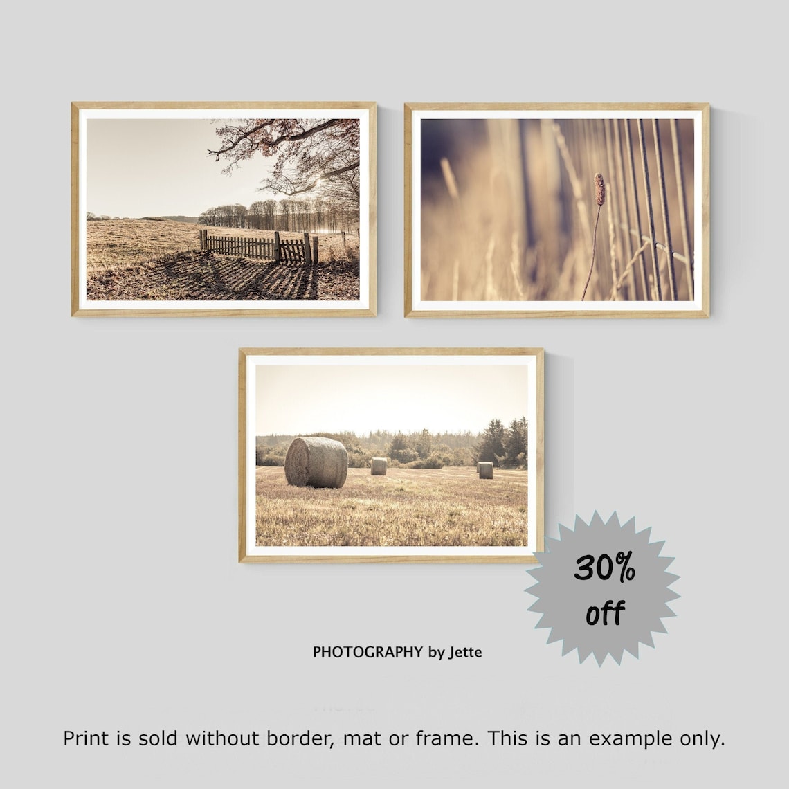 Set of 3 Farm Wall Art Prints Neutral Country Style House | Etsy