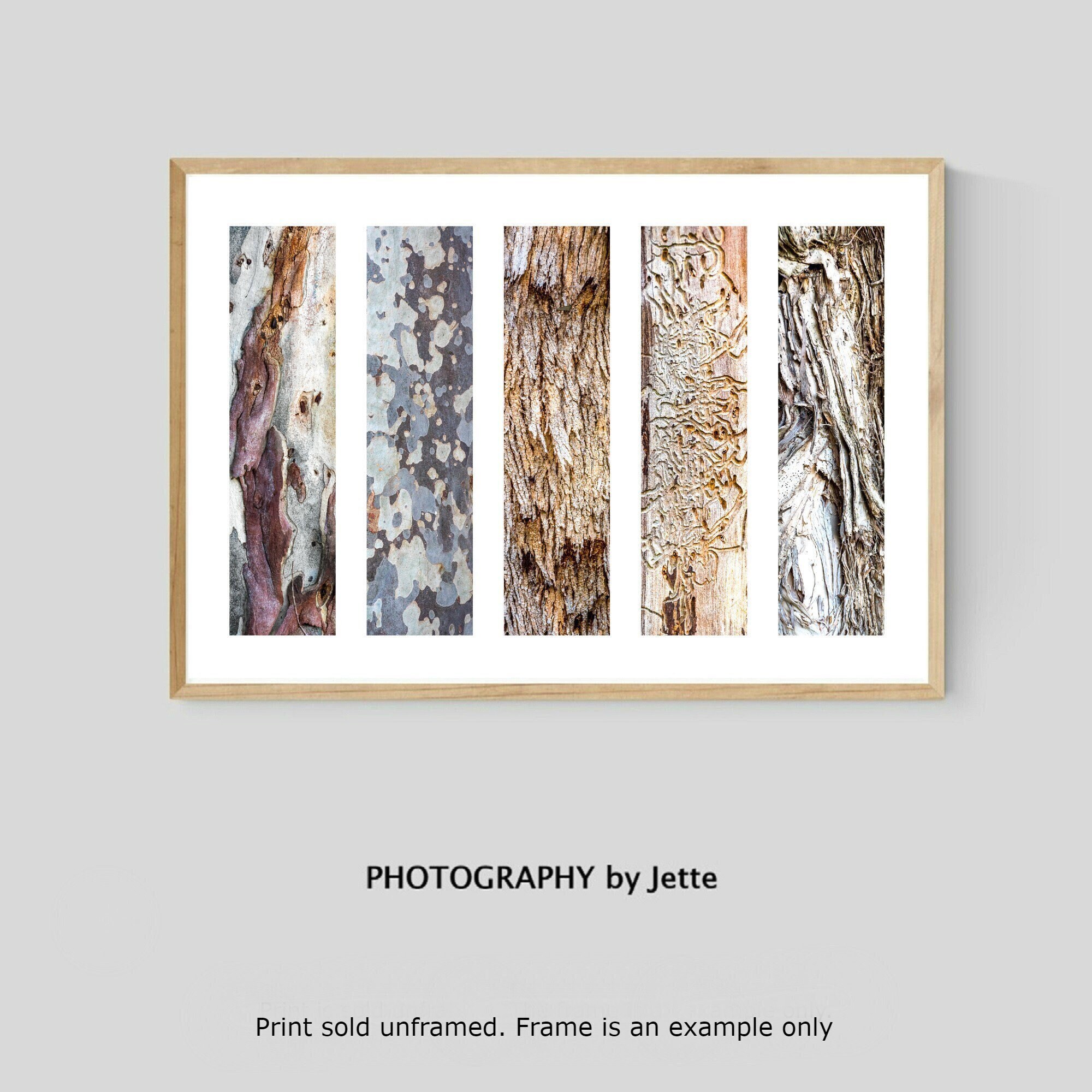 Australian Native Tree Bark Collage Print With White Border, Botanical ...