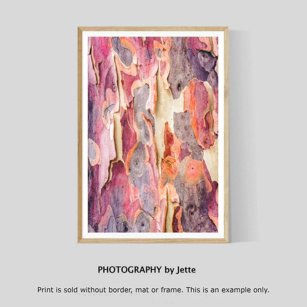 Eucalypt Gum Tree Bark Photography Print, Abstract Nature Wall Art ...
