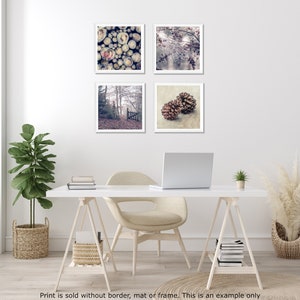 Set of 4 Square Nature Prints, Forest Wall Art Photography, Neutral ...