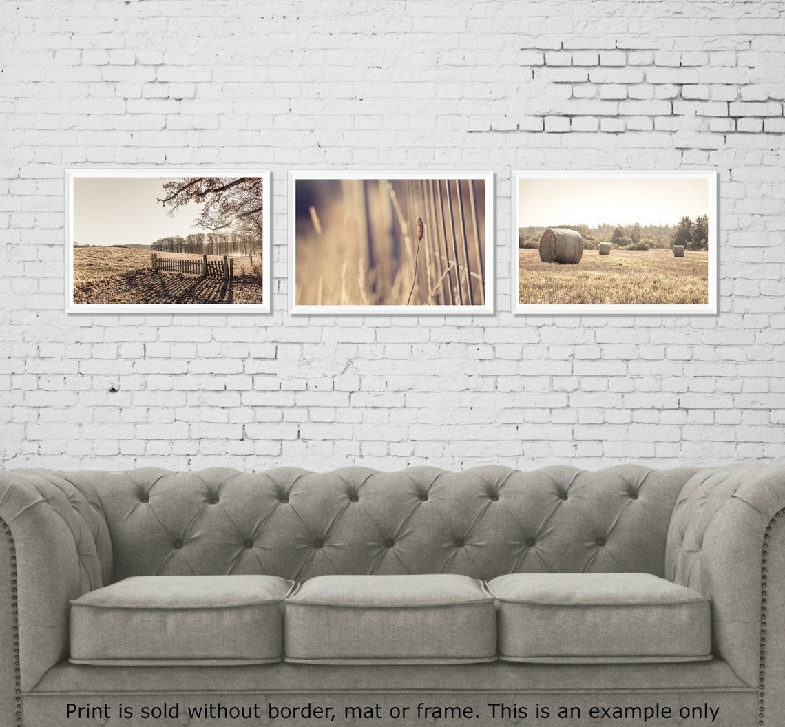 Set of 3 Farm Wall Art Prints Neutral Country Style House | Etsy