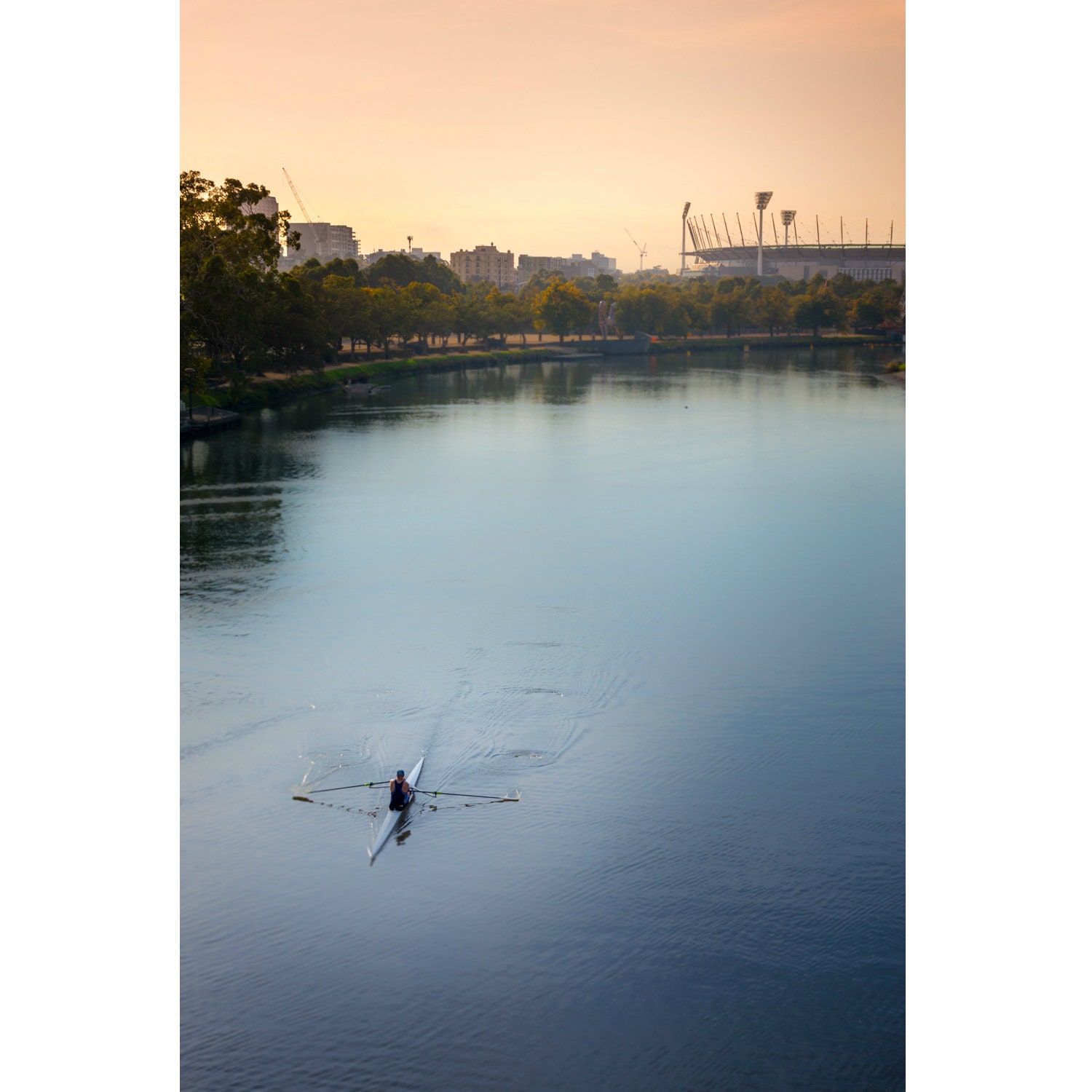 Rowing Art Print Melbourne Wall Art Australian Black and - Etsy