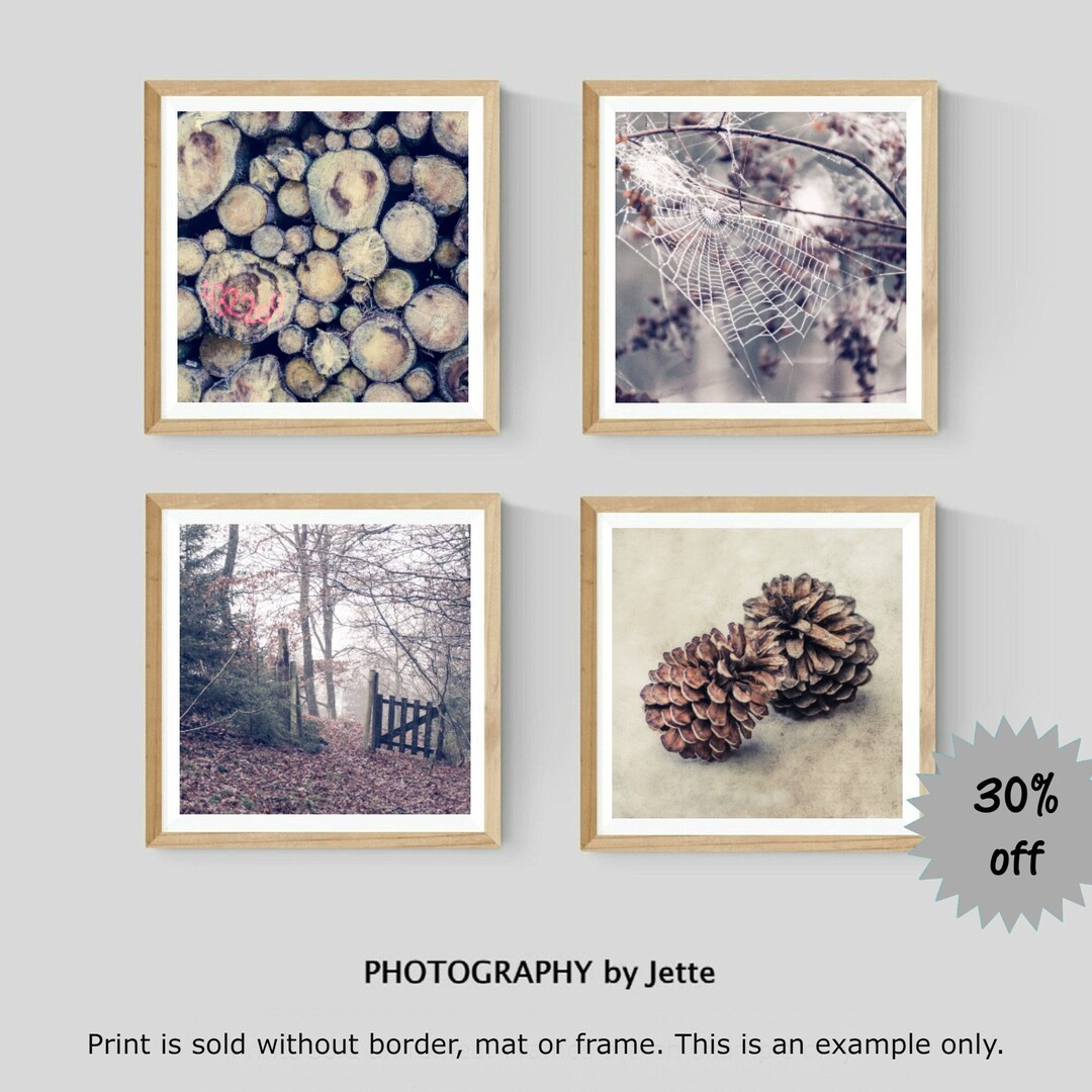 Set of 4 Square Nature Prints Forest Wall Art Photography - Etsy Australia