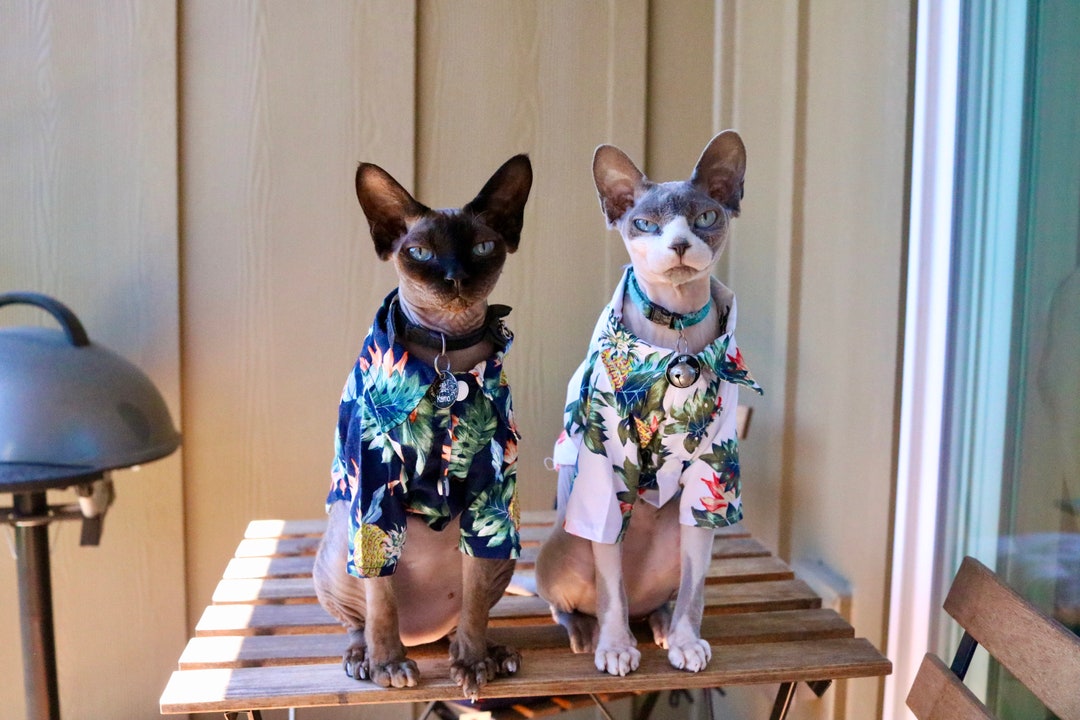 Summertime Aloha Shirt for Cats - Etsy