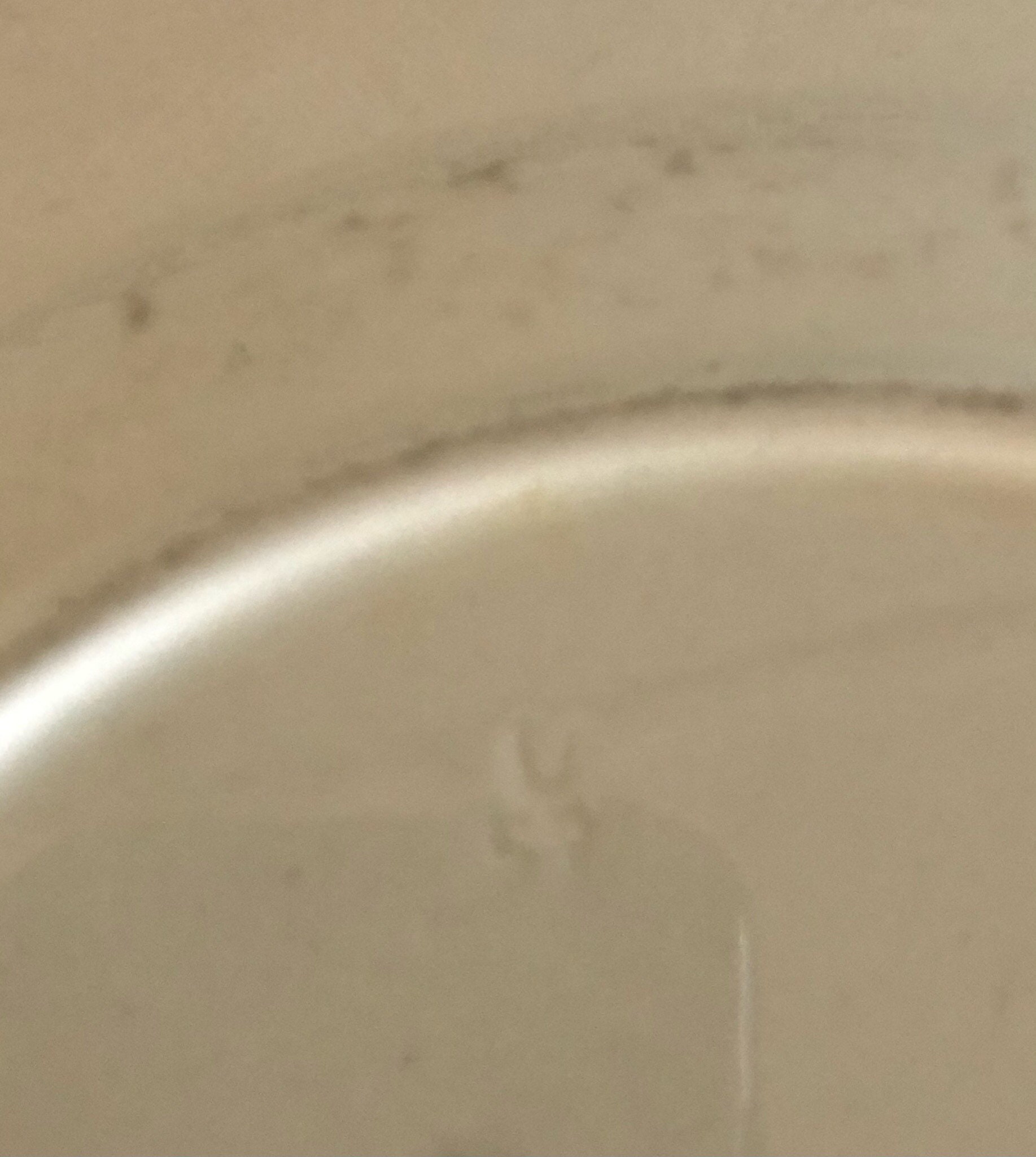 Spode copeland Spode, England, Springtime Pattern Dinner Plate, Dated ...