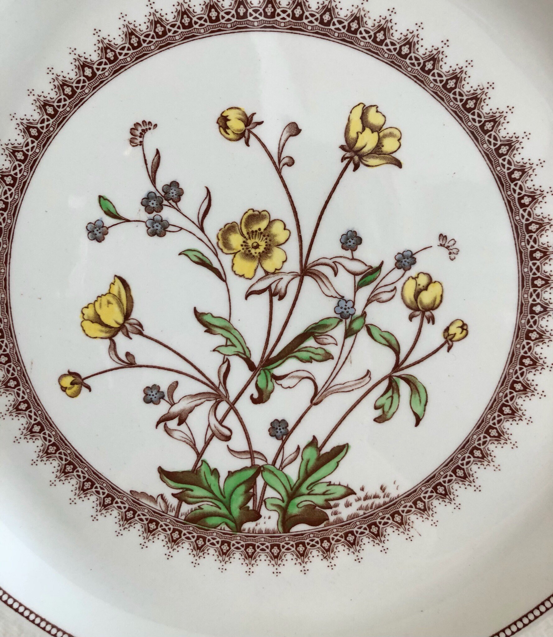 Spode Copeland Spode, Buttercup Pattern, Large Round Platter 12 7/8 de ...