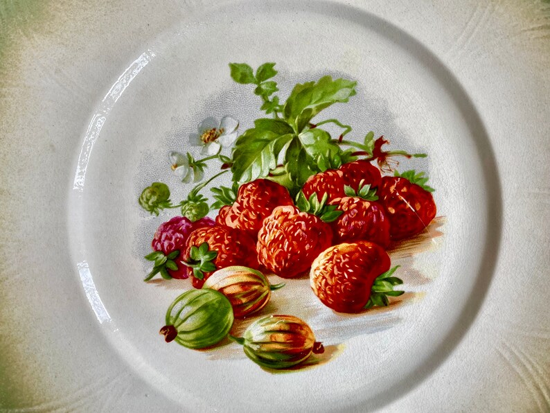 Antique Raspberry Motif Ceramic Dinner Plate Iridescent Green - Etsy