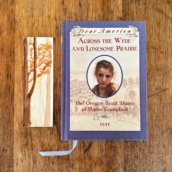 Dear America Diaries - Etsy