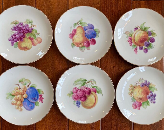 Vintage Schonwald Porcelain Fruit Plates Germany Set of 6 Schonwald ...